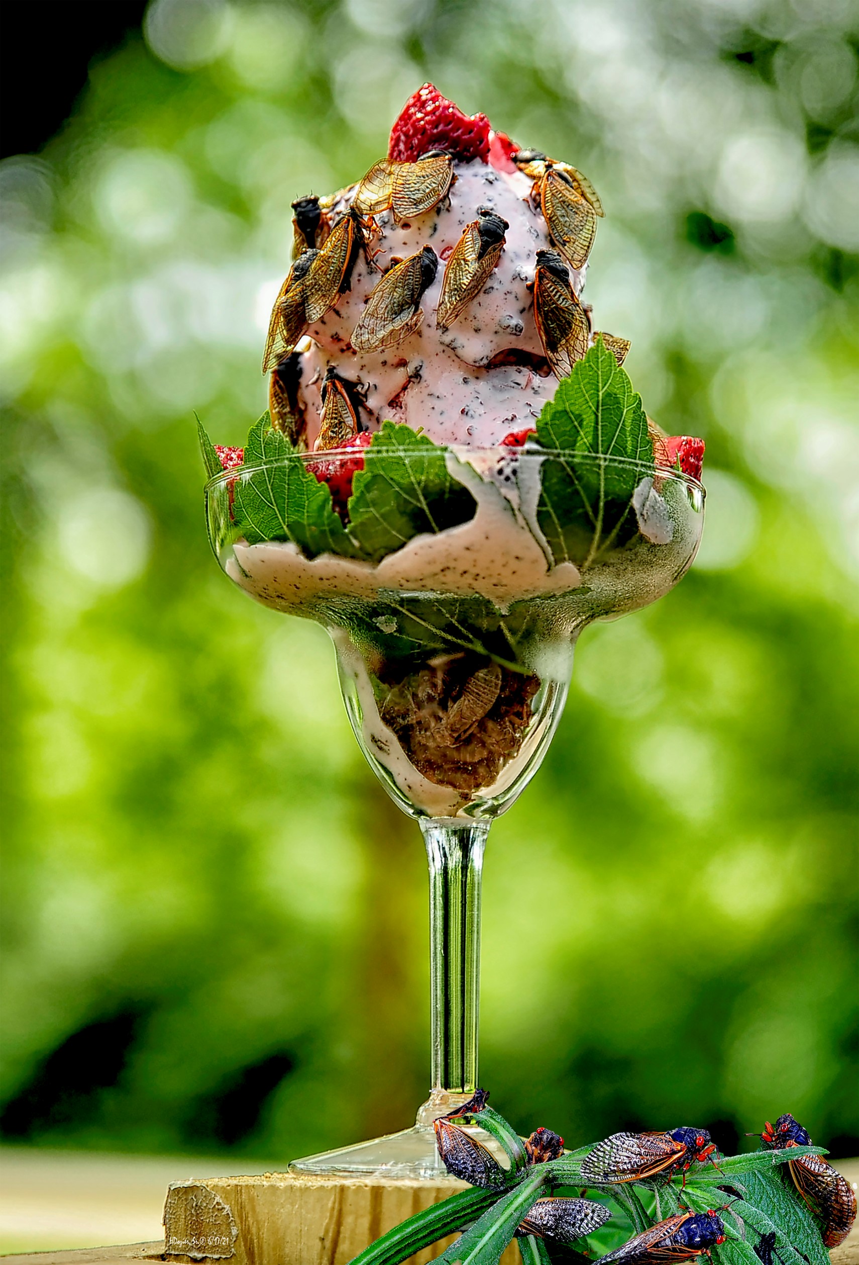 African American Visual Artists on mission to expose Black Art