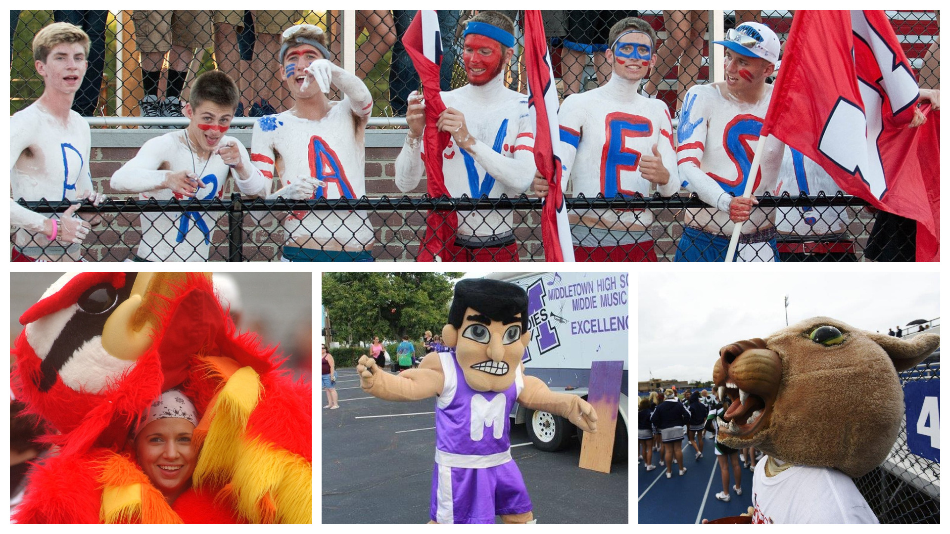 High School Mascots And Colors