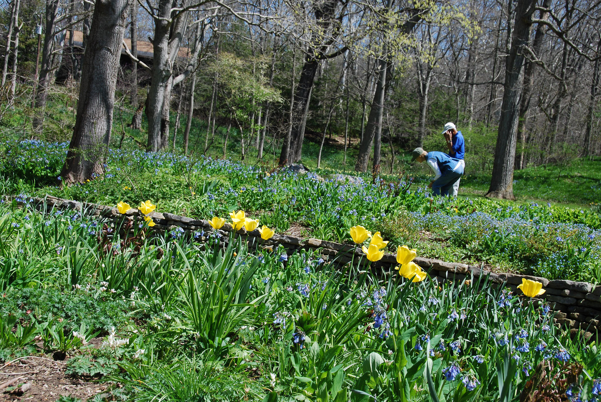 Best spring hikes in Dayton, Ohio