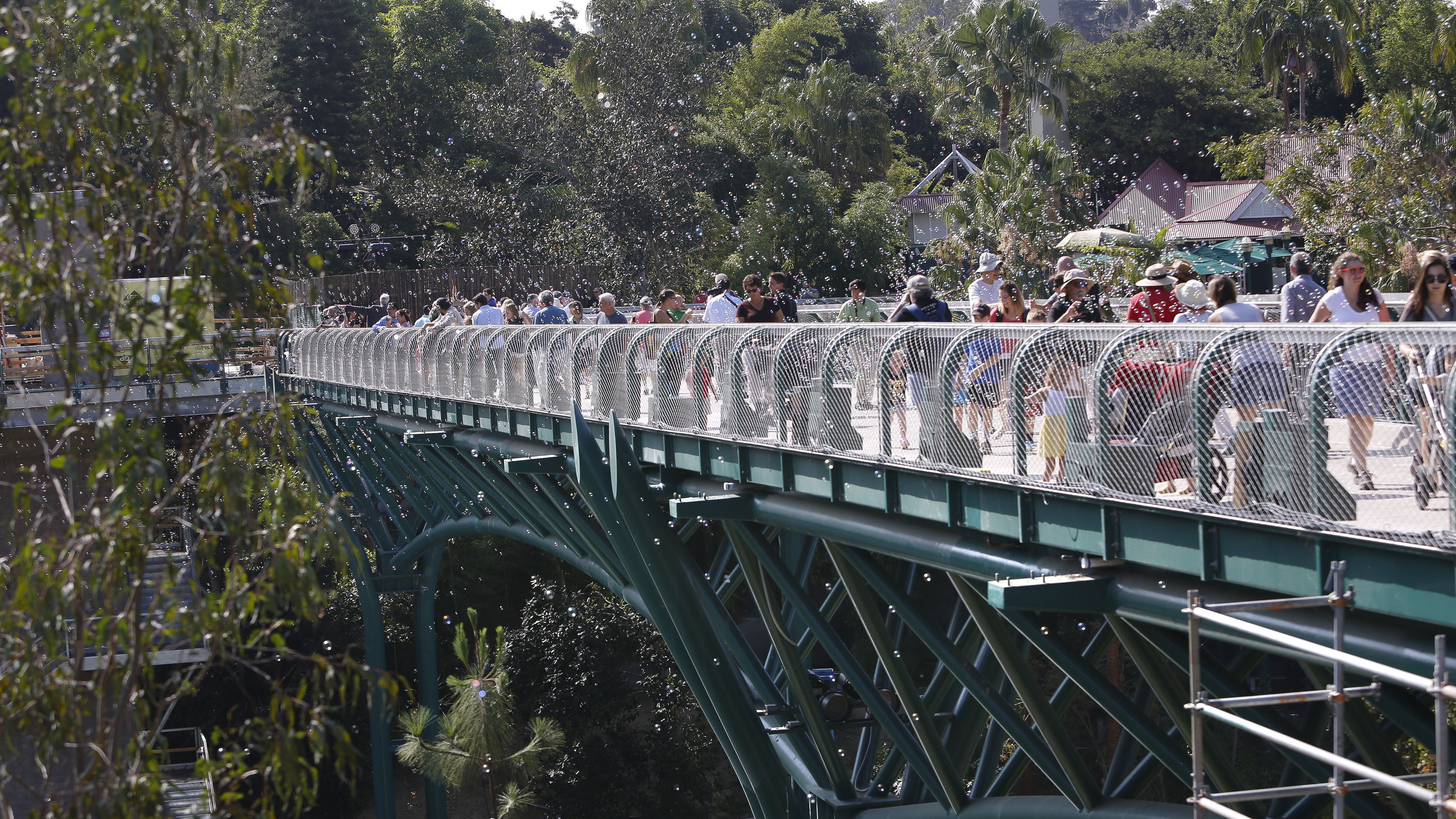 San Diego Walking Bridges