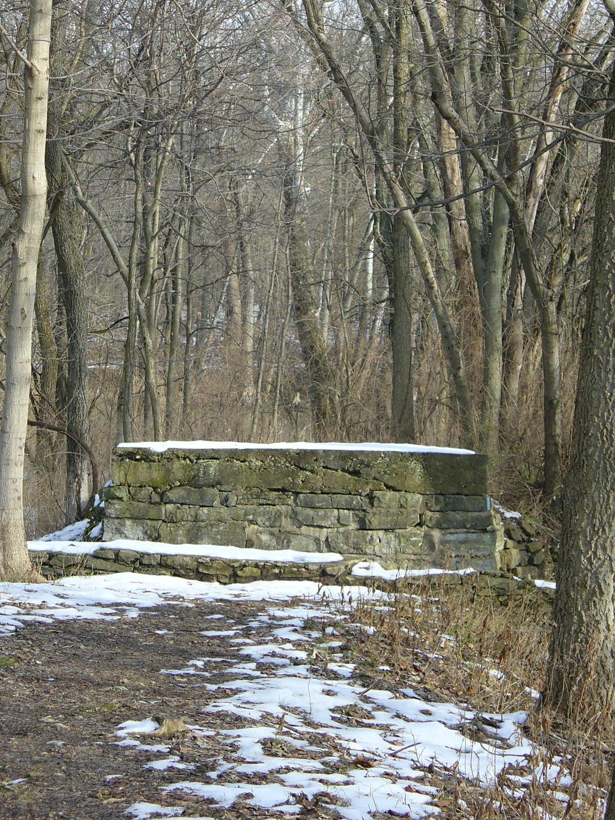 Spooky fall hikes near Dayton | Things to do for Halloween in Dayton