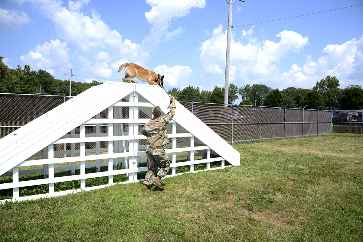 WPAFB kennel gets new obstacle course