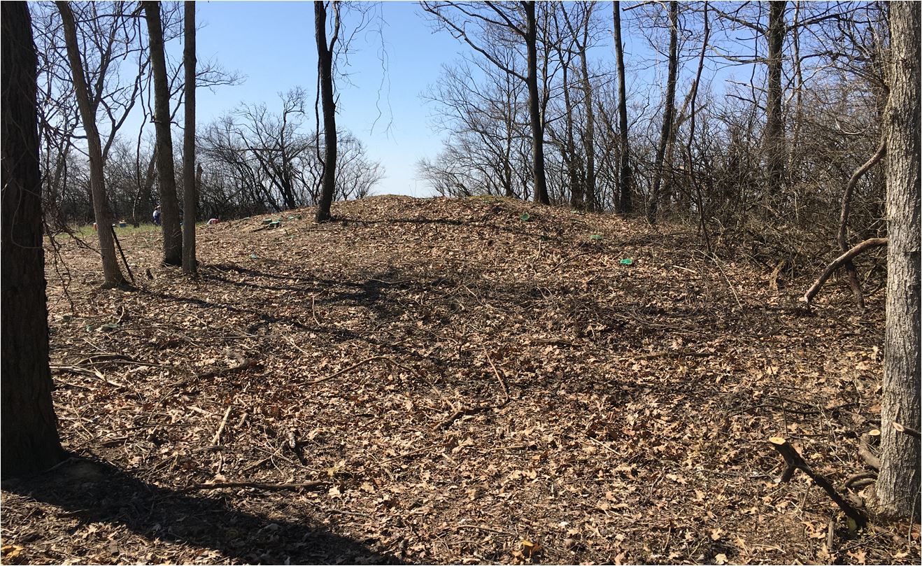‘Fortified Hill,’ Native American mounds, to partly open in March