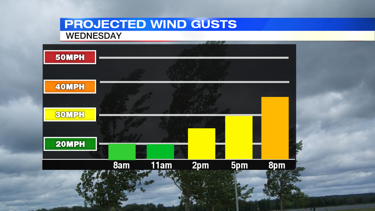 Dense Fog Advisory in effect; Rain returns Wednesday