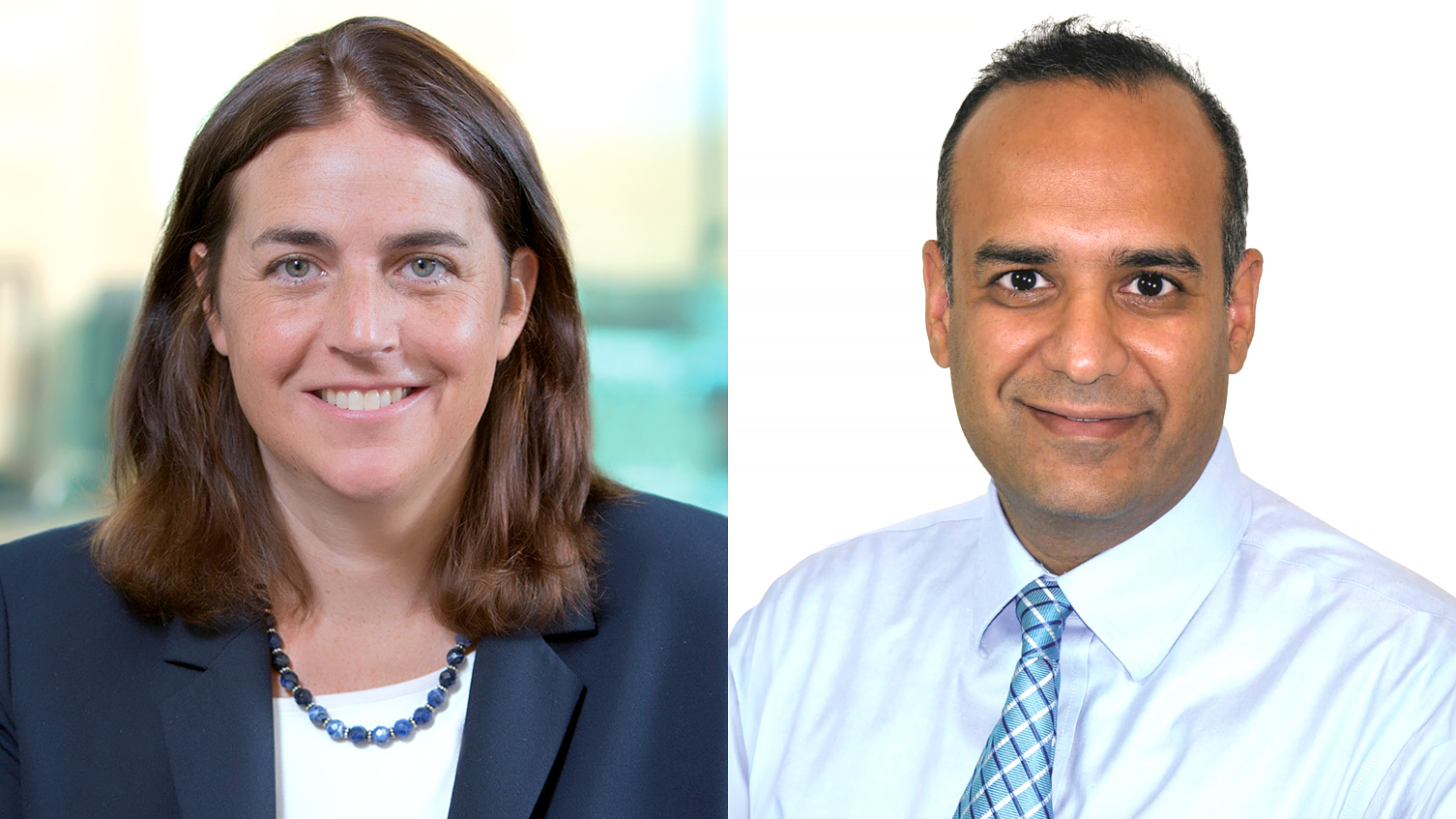 Connecticut treasurer names Denise Stake as deputy CIO - Pensions ...