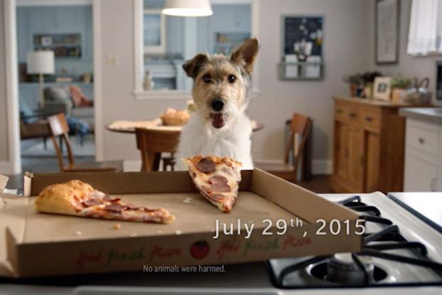 The Pyromaniac Dog in This Farmers' Ad Is Based on a Real Life ...