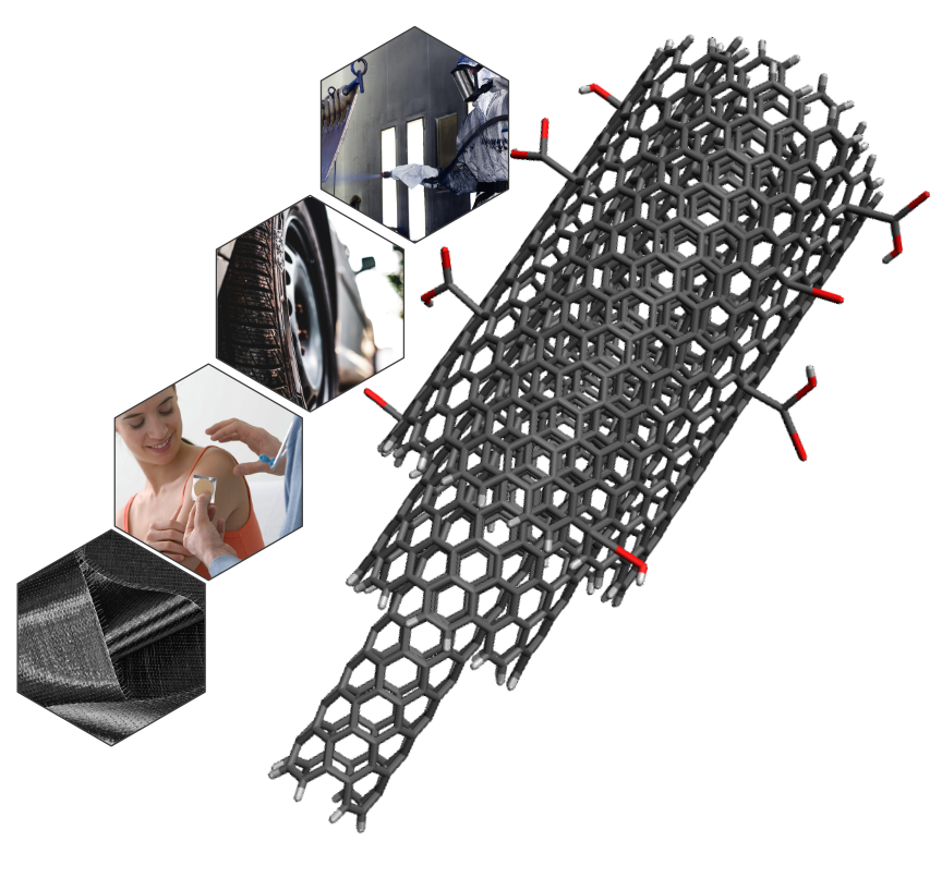 Discrete and chemically functional carbon nanotubes for improved EV ...