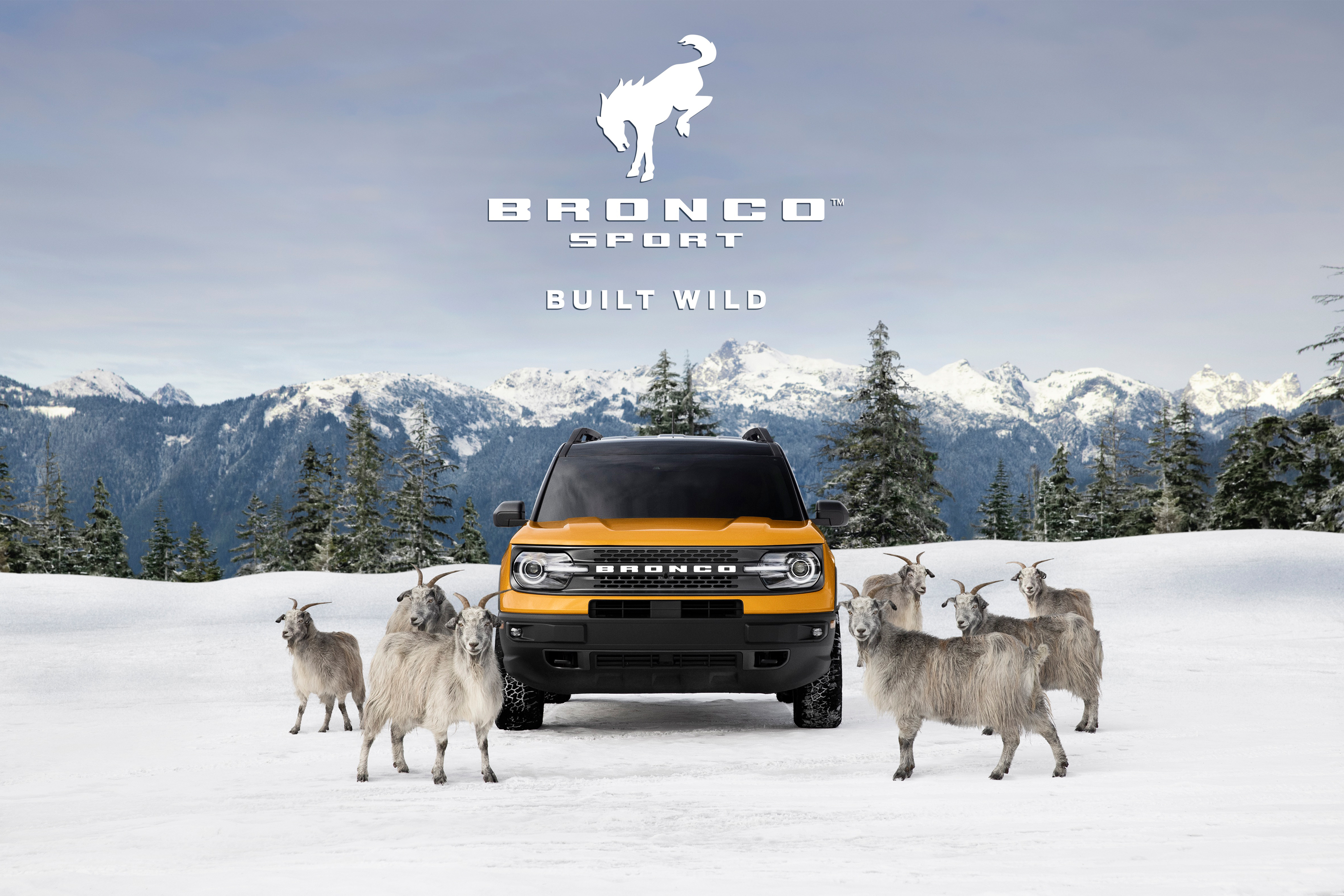 Ford Bronco Sport new ad campaign GOAT mode goat Wieden and Kennedy New ...
