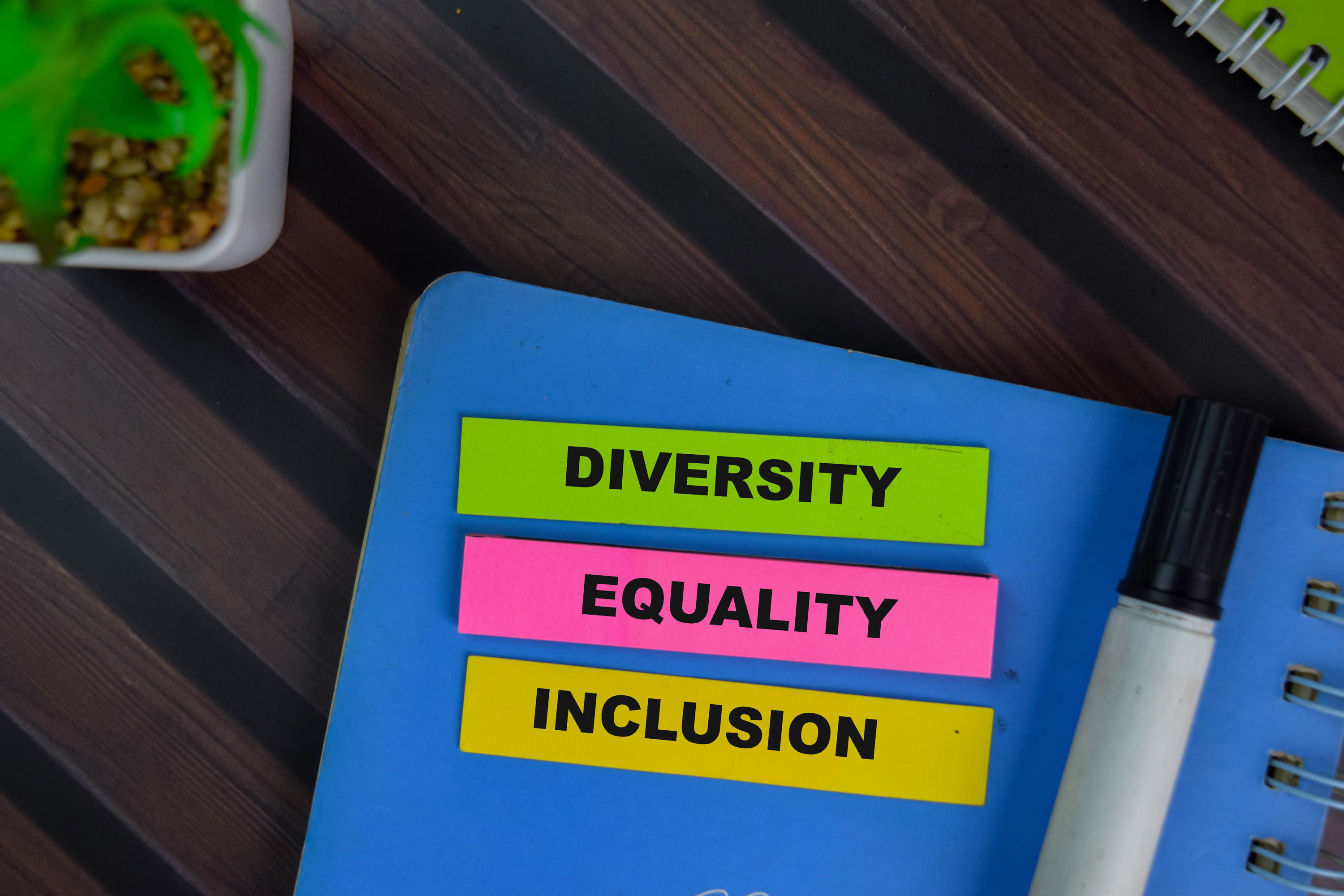 DEI and business success: why inclusion is key to innovation and growth ...