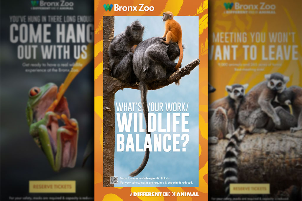 Bronx Zoo campaign urges New Yorkers to take a break from WFH and see ...