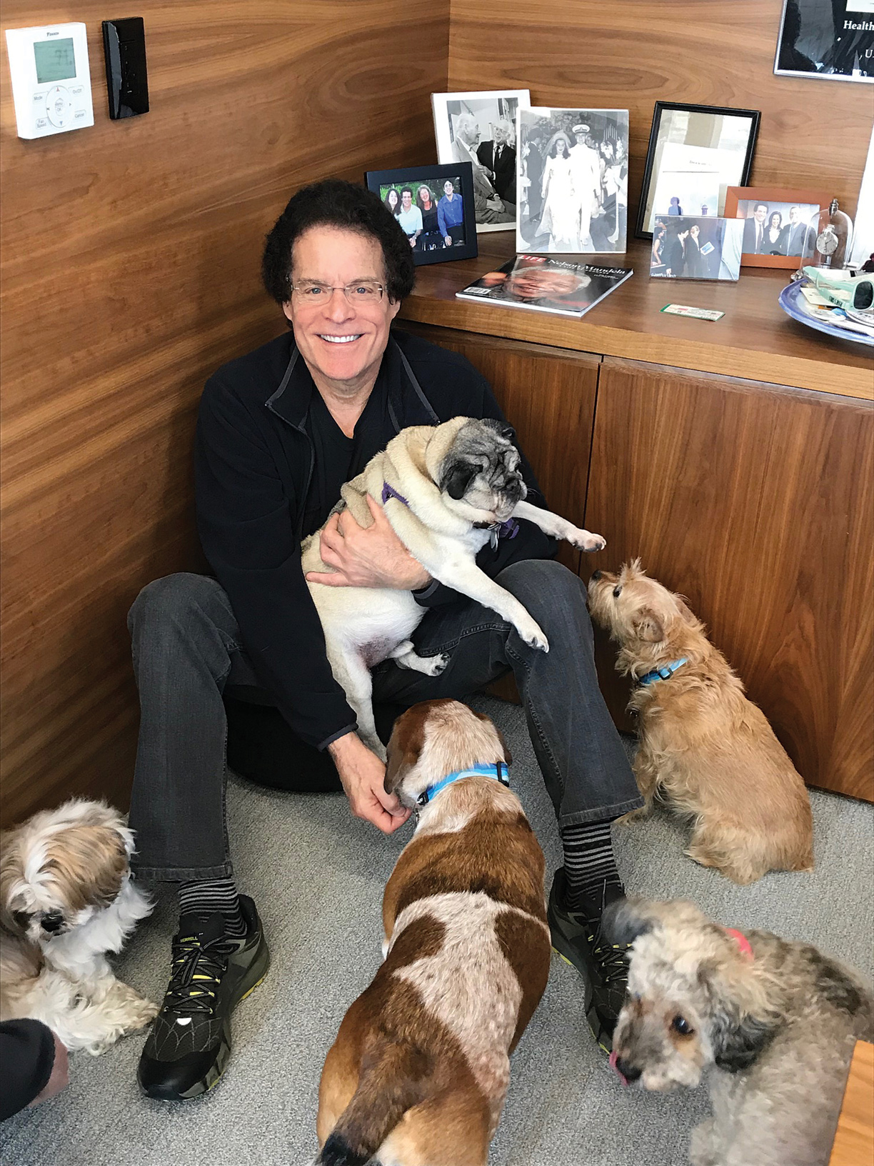 Kaiser Family Foundation showcases staff pets on Twitter - Modern ...