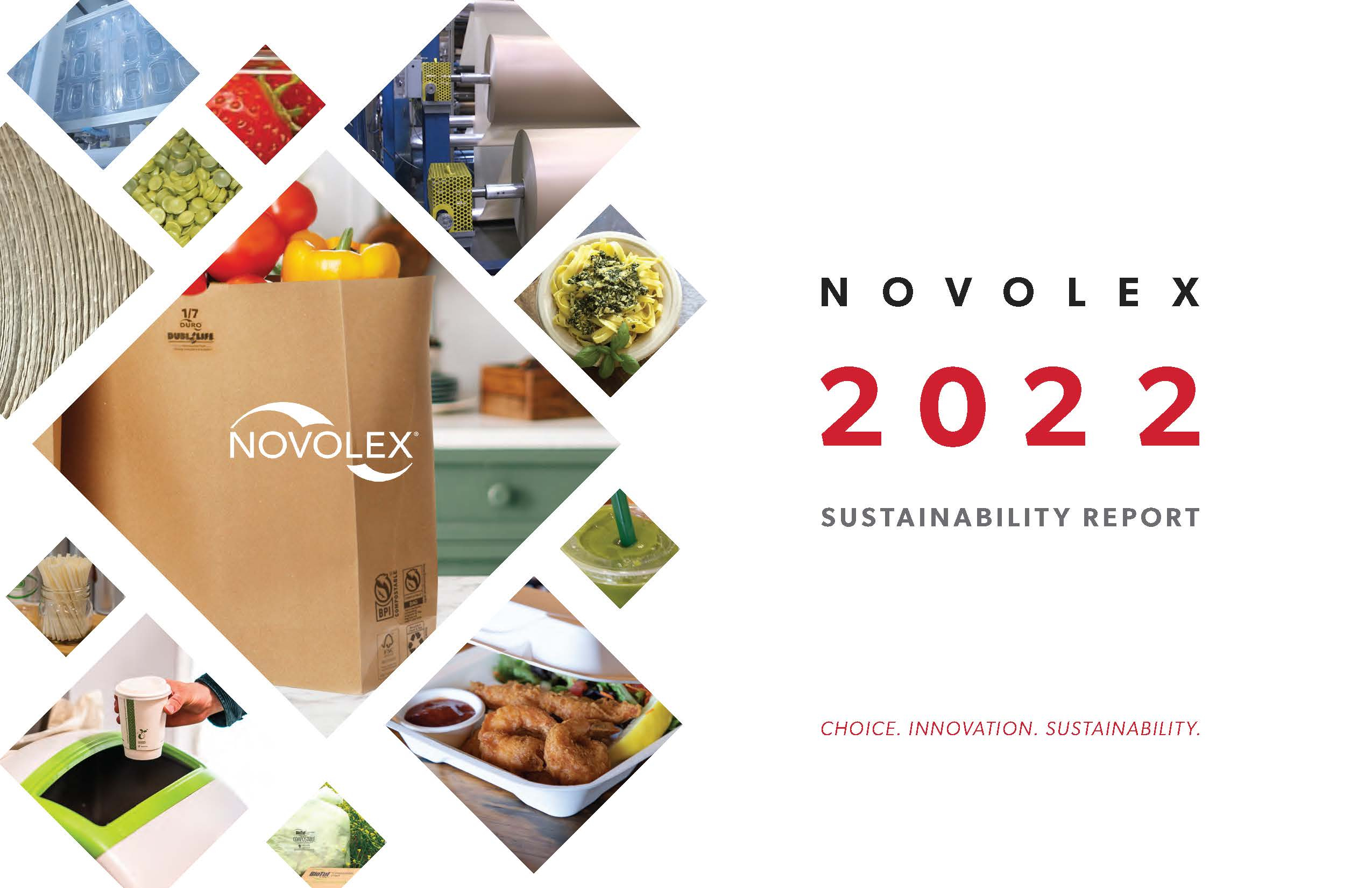 Novolex publishes its 2022 Sustainability Report - Plastics News