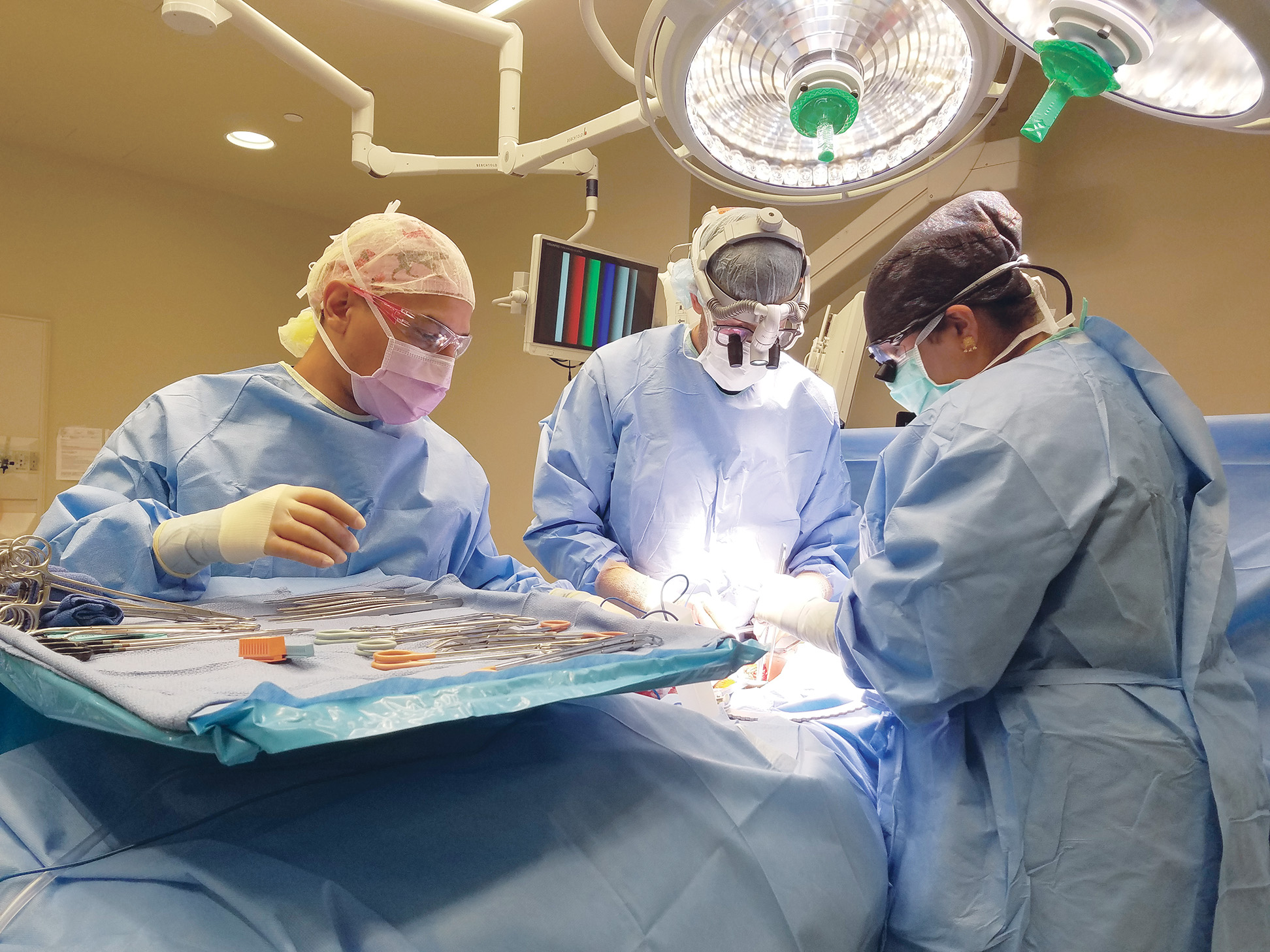 Organ Procurement and Transplantation Network overhaul pitched by HRSA ...