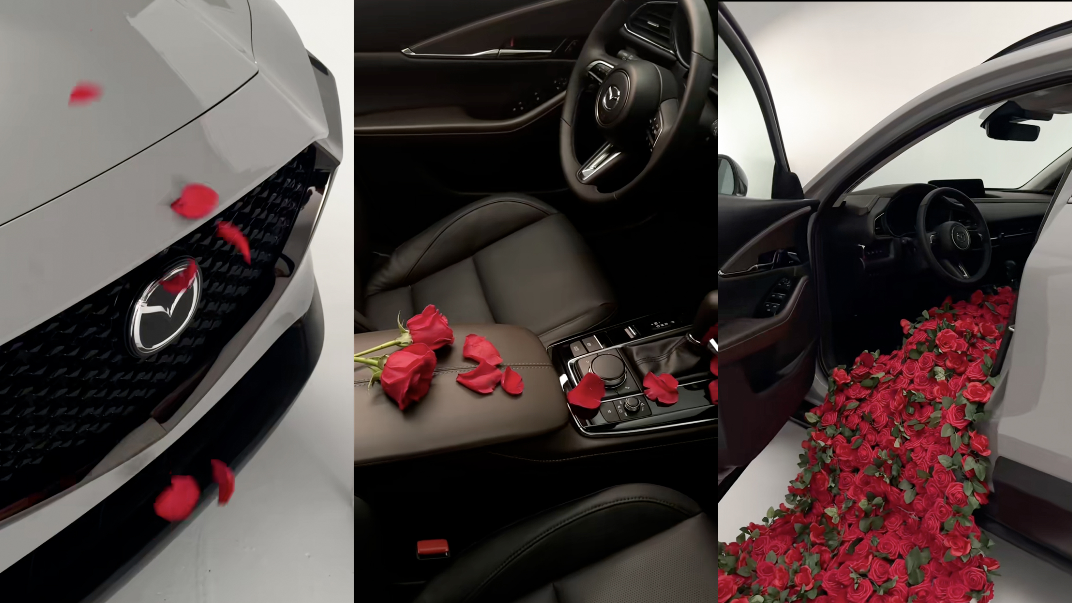 Mazda, Best Corporate/Brand Identity Campaign: GAMA 2025 - Ad Age