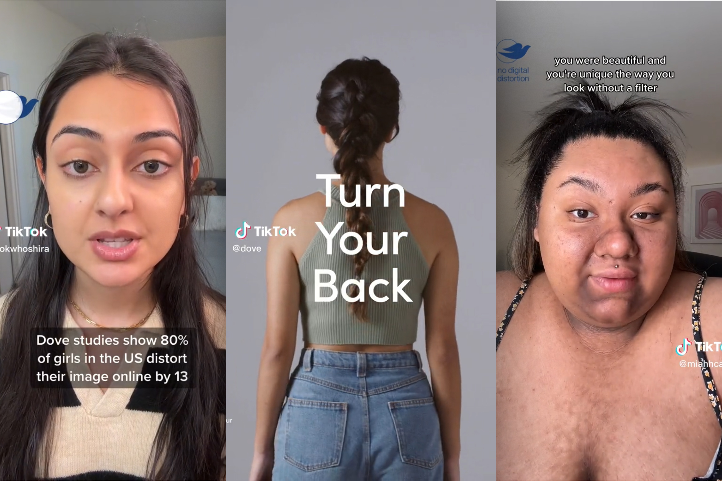 Dove Natural Beauty Campaign