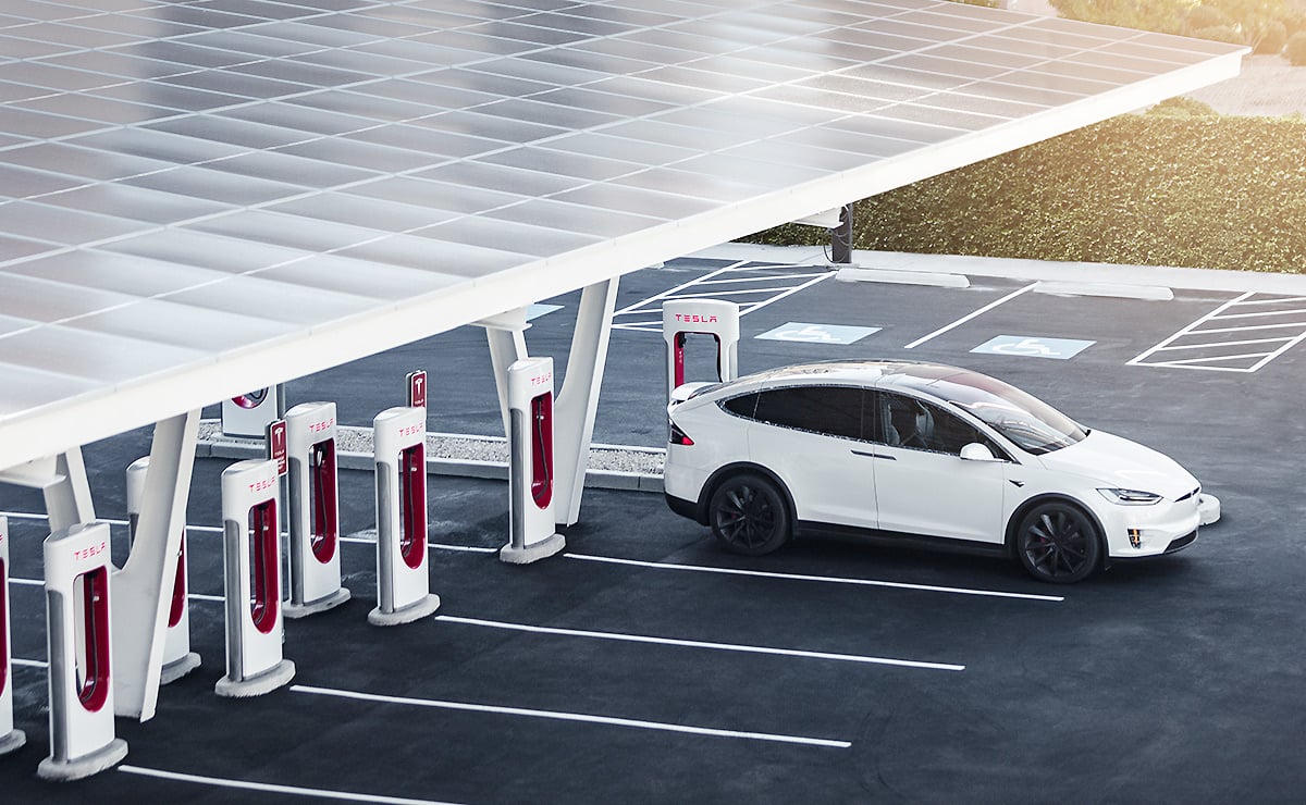 Tesla CEO Elon Musk has some Canadian Tesla owners embarrassed ...