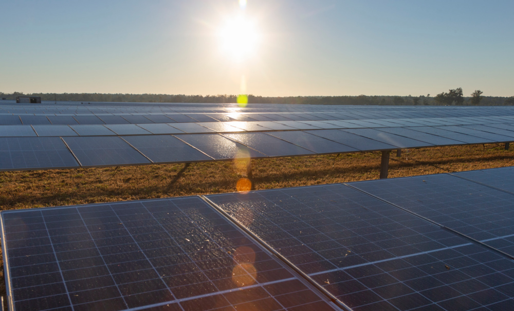 NextEra Energy to Build 310-MW Solar Farm in Texas - Hart Energy