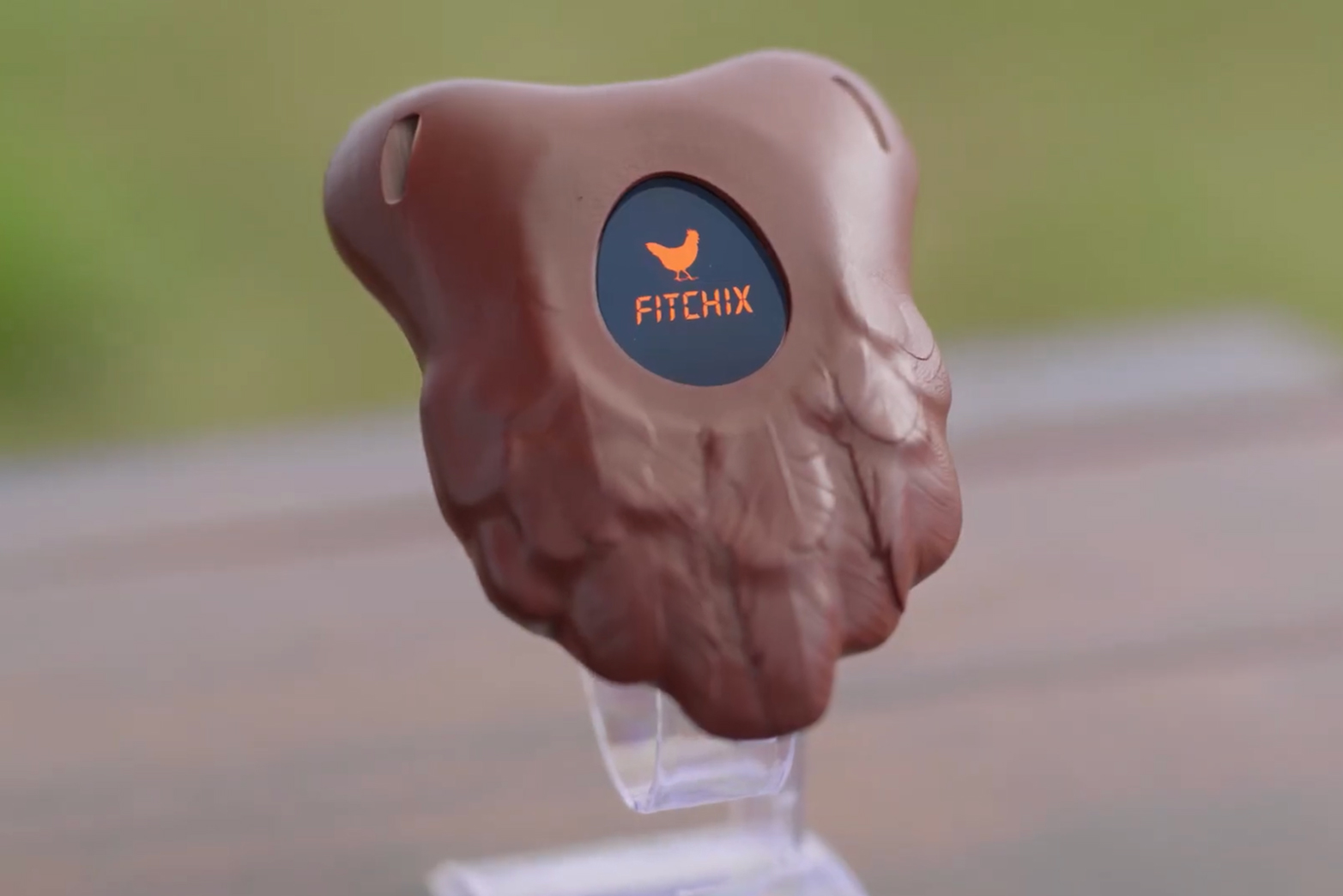 Creativity Awards 2024 Tech Innovation of the Year: Honest Eggs Co.’s ...