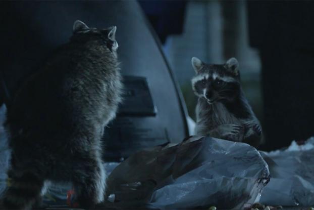 Raccoons Get 'Racookin' in Their Own Food Vlogs for Geico - Ad Age
