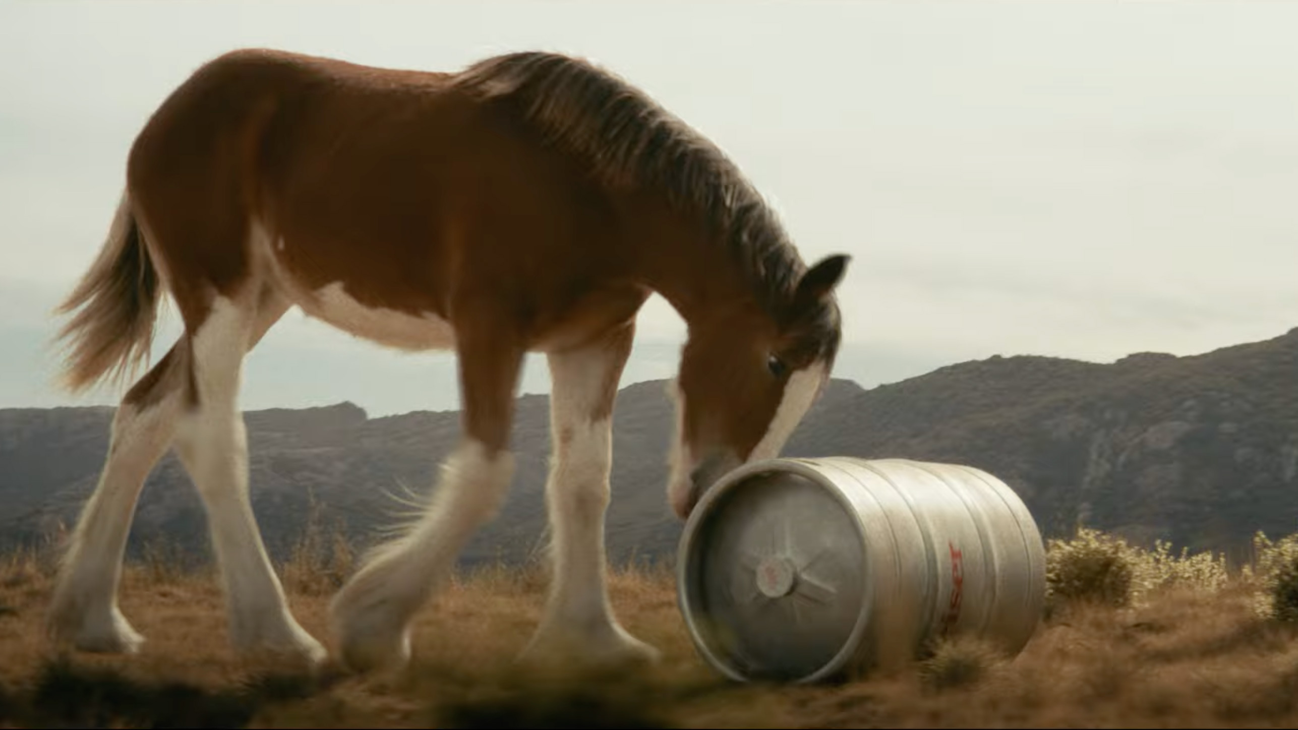 Budweiser regional Super Bowl ad features Clydesdales - Ad Age