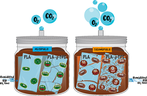 Michigan scientists develop home compostable PLA-based blend - Plastics ...