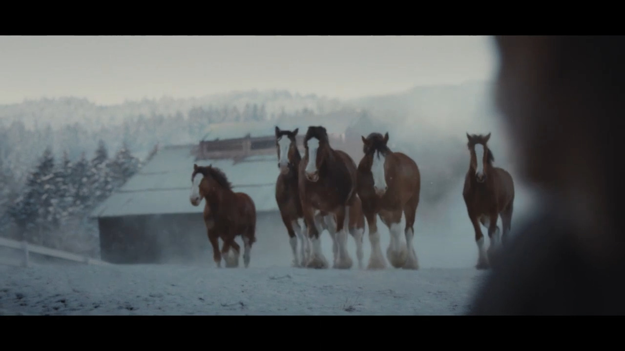 Budweiser: “Old School Delivery” - Ad Age