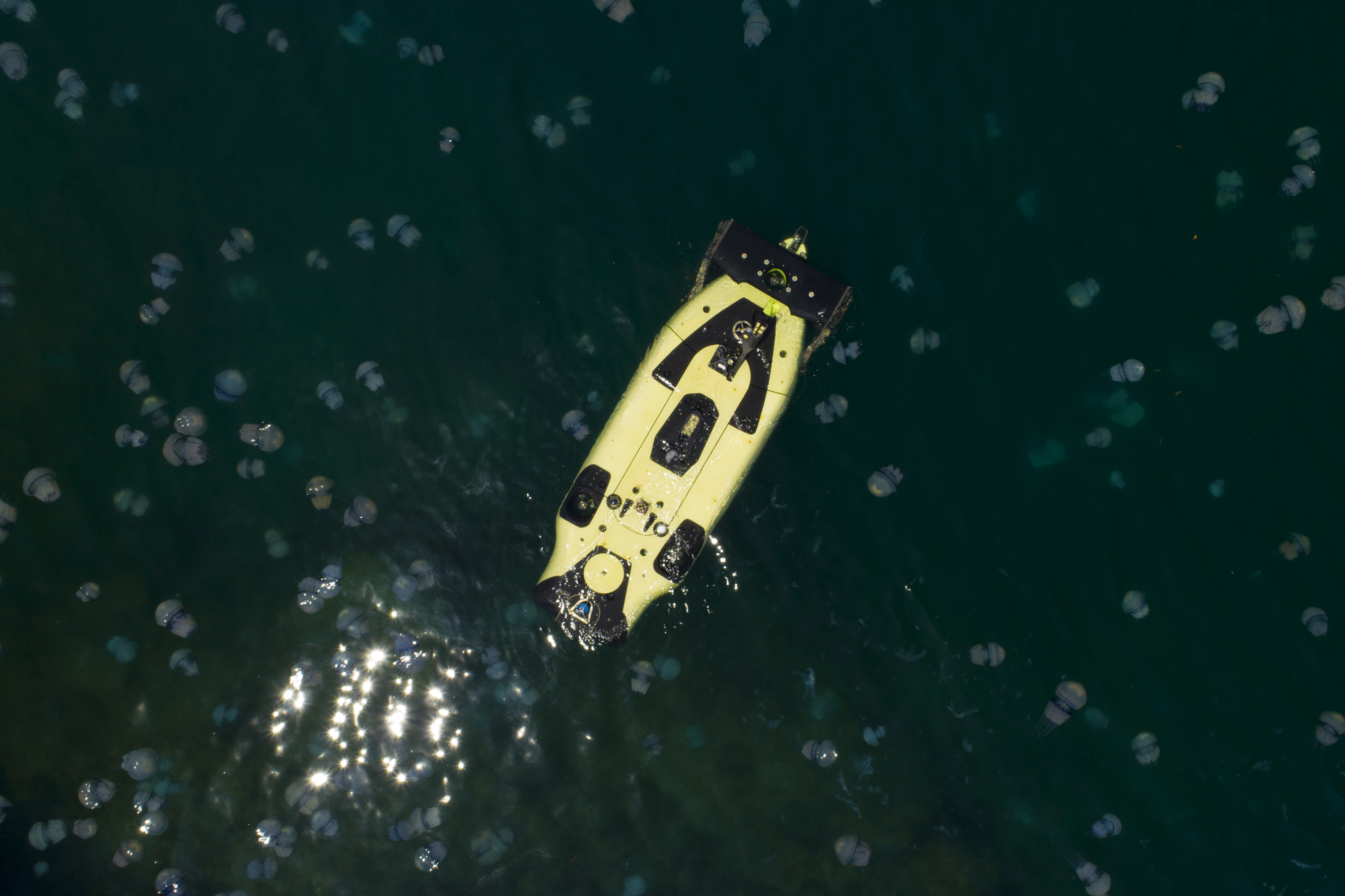 The Energy Industry’s Prize Fish - Hart Energy