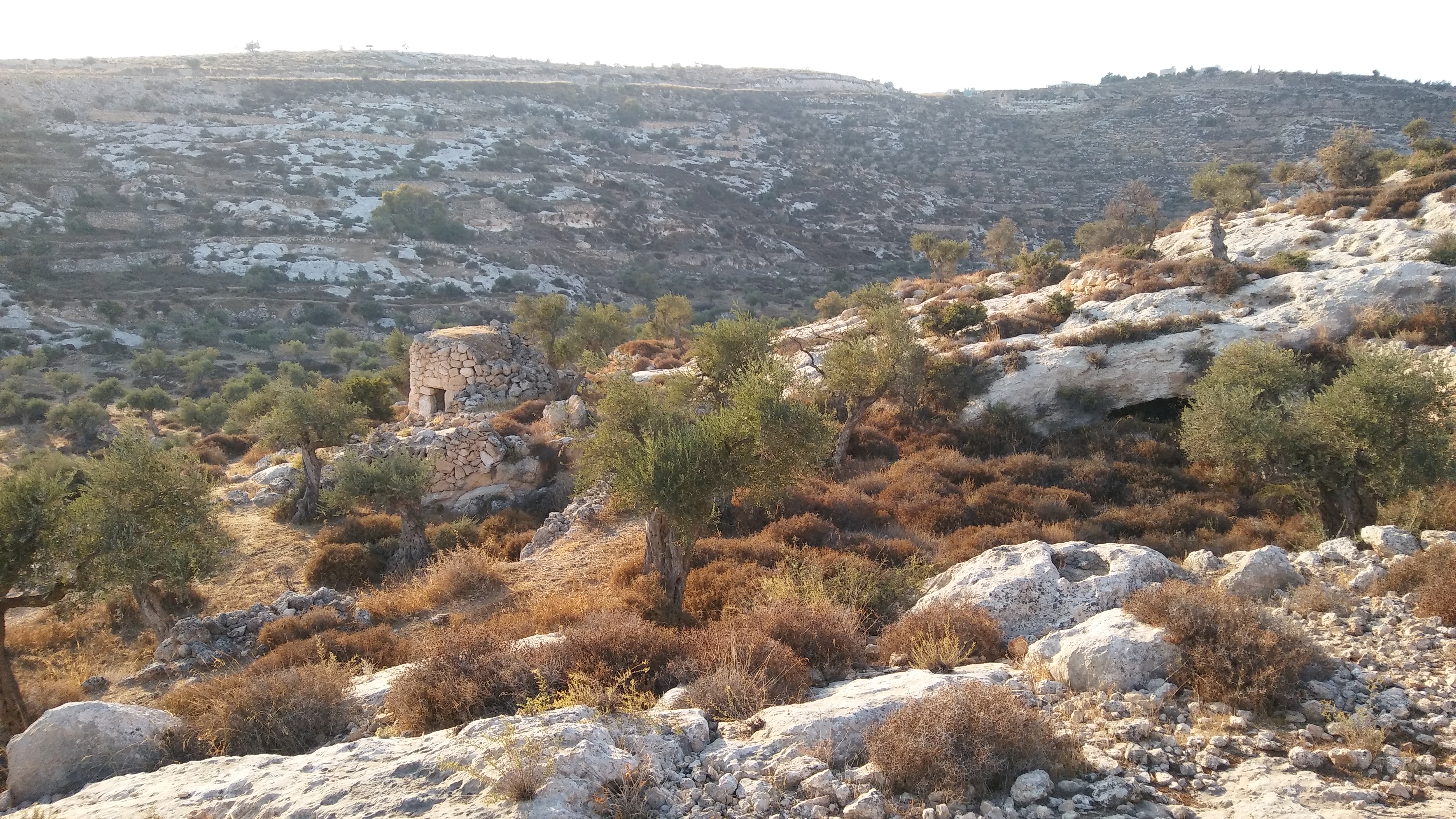 Birth Of Jesus Christ Location