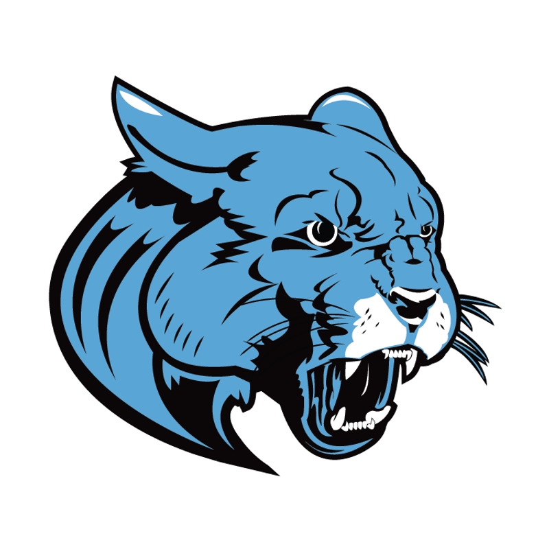 Arlington Seguin Football player stats for the season