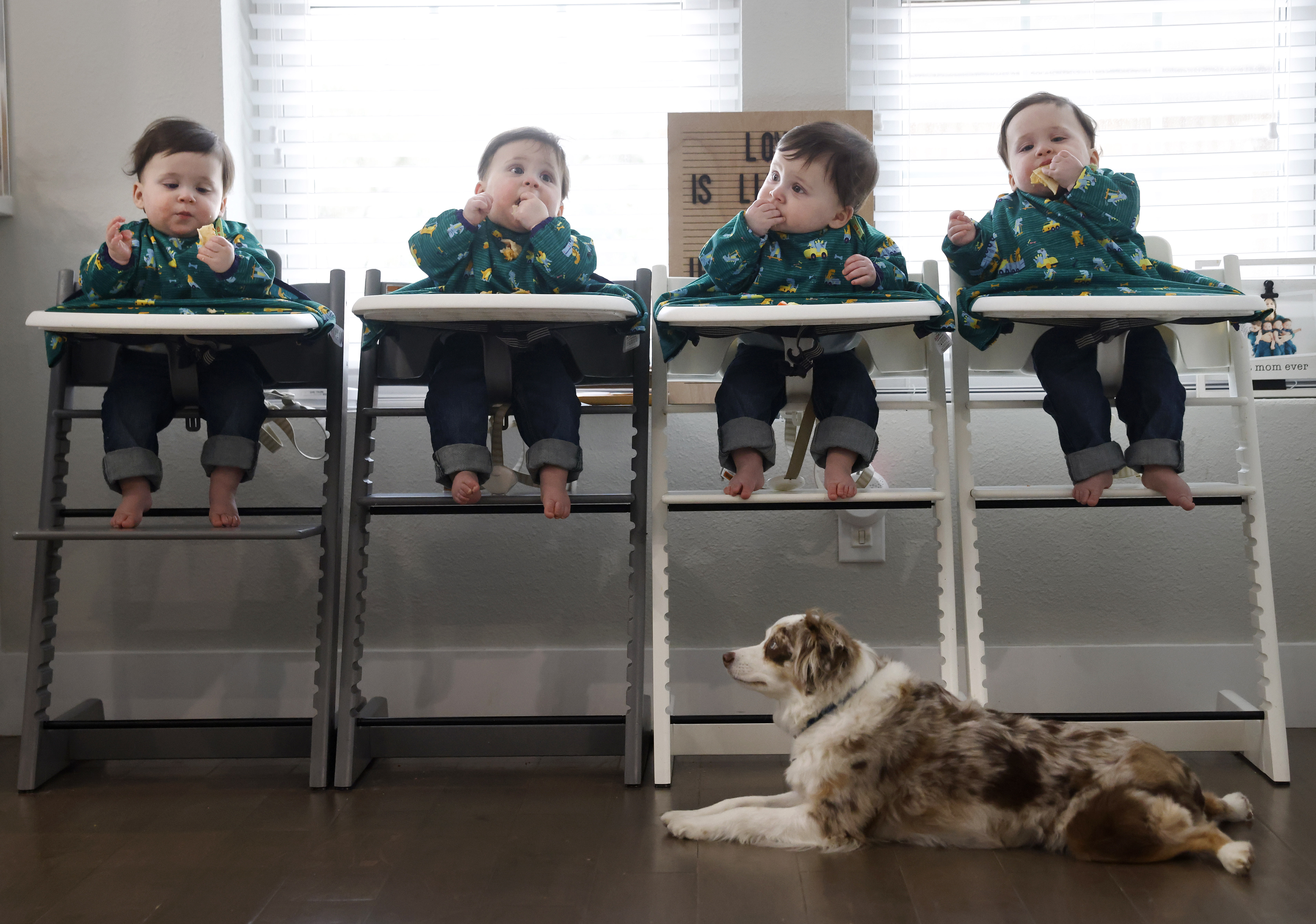 Famous Identical Quadruplets