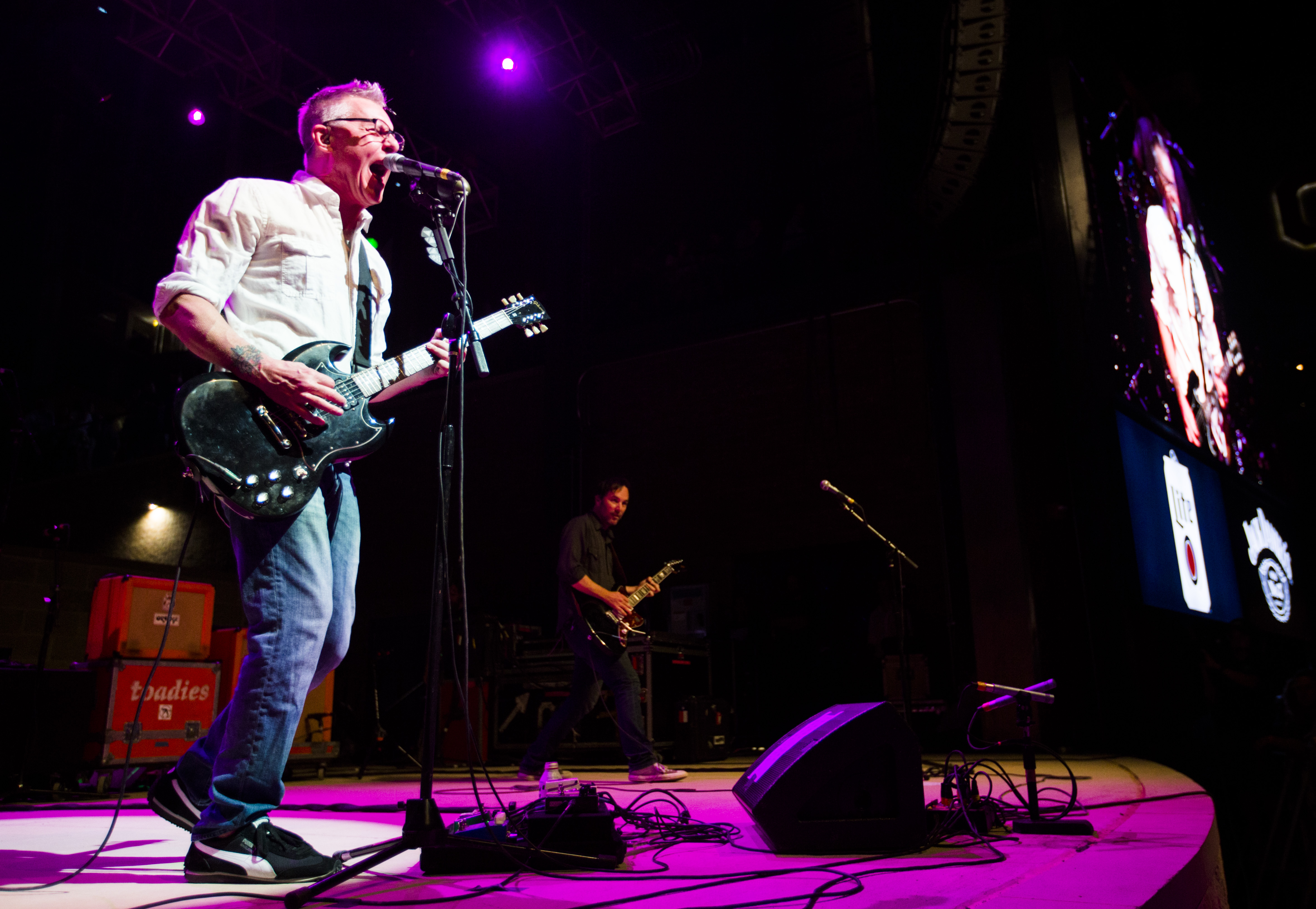 The Toadies