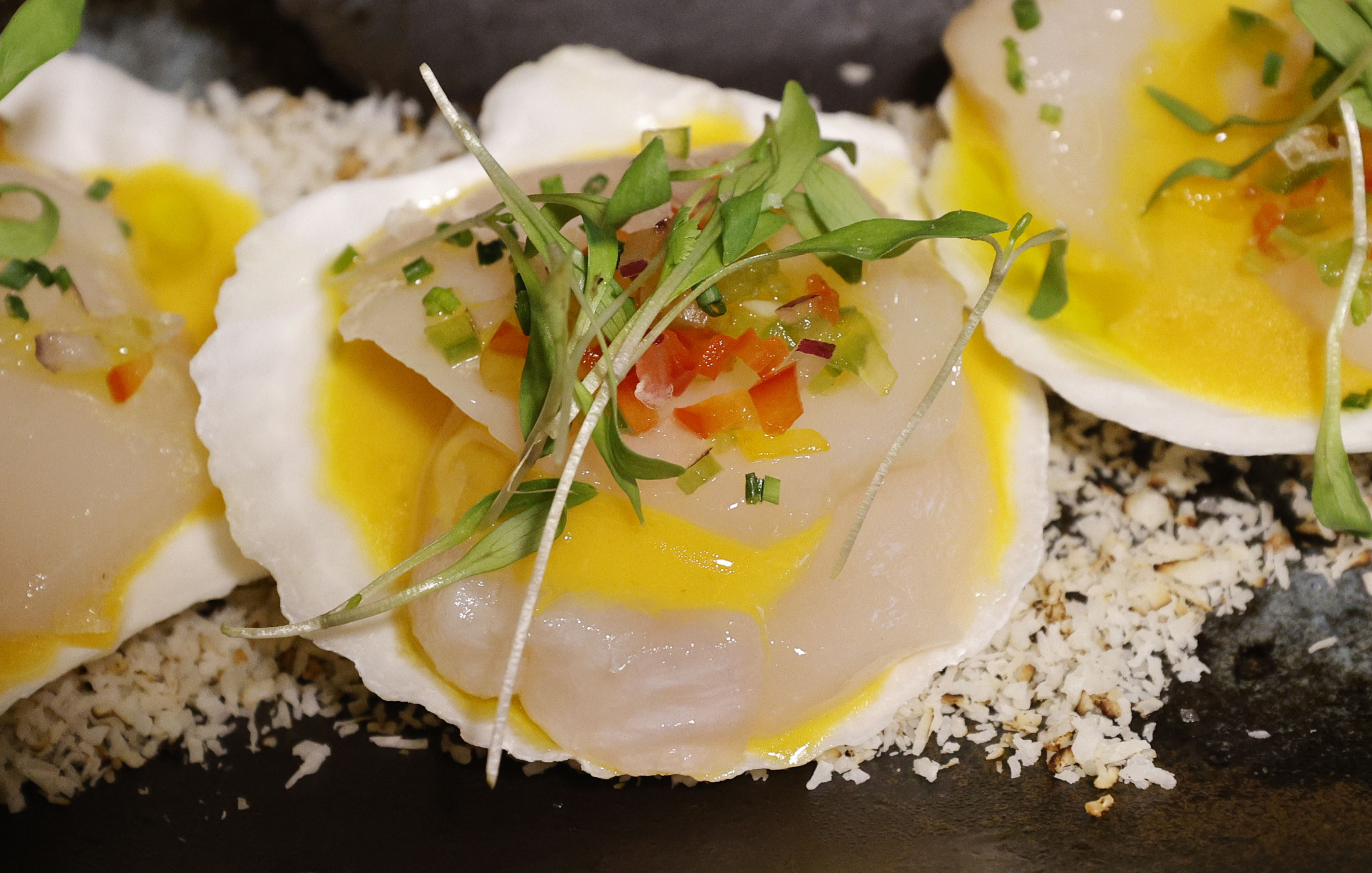 Your City's News | The Dallas Morning News