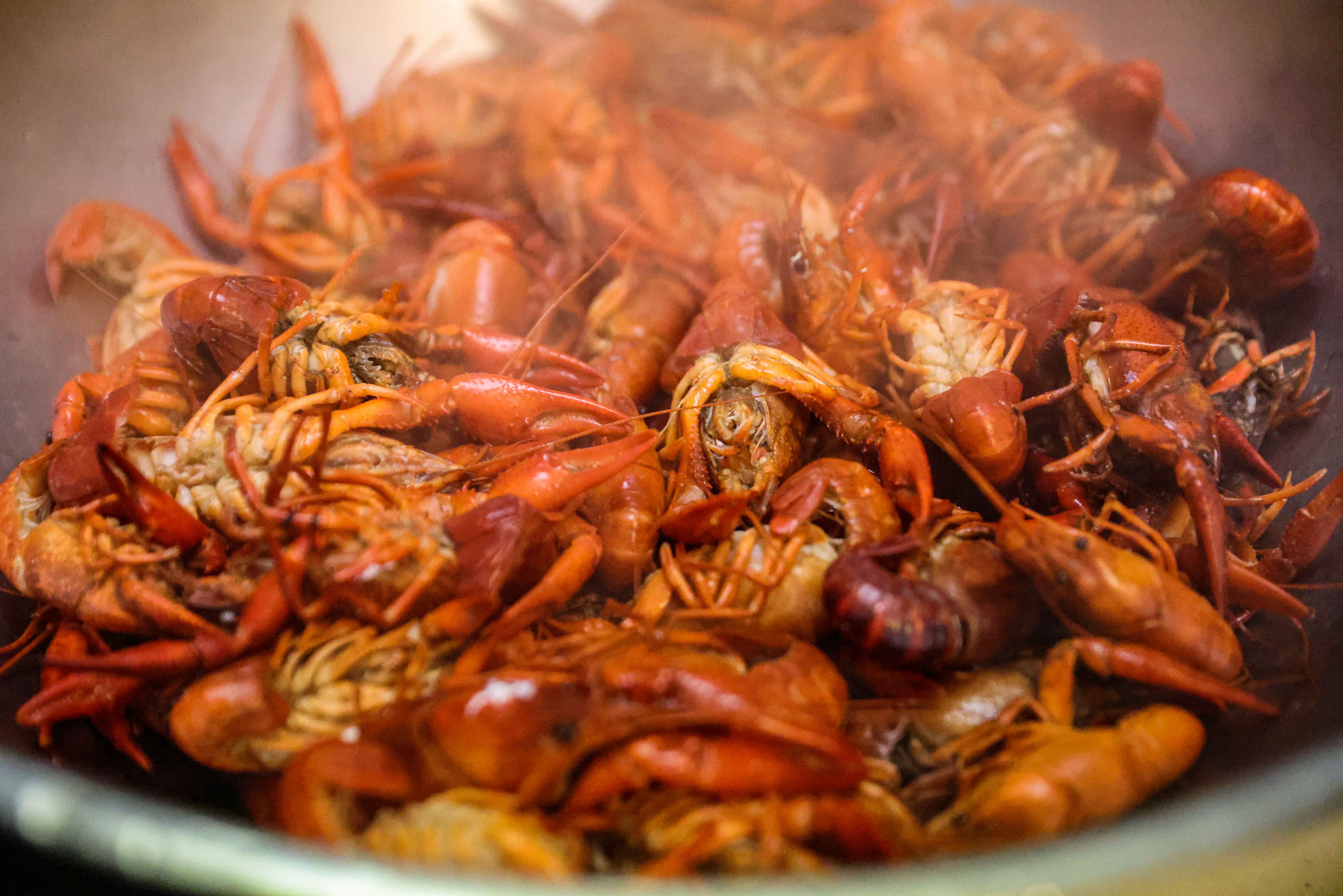 Big Mamou Cajun Festival