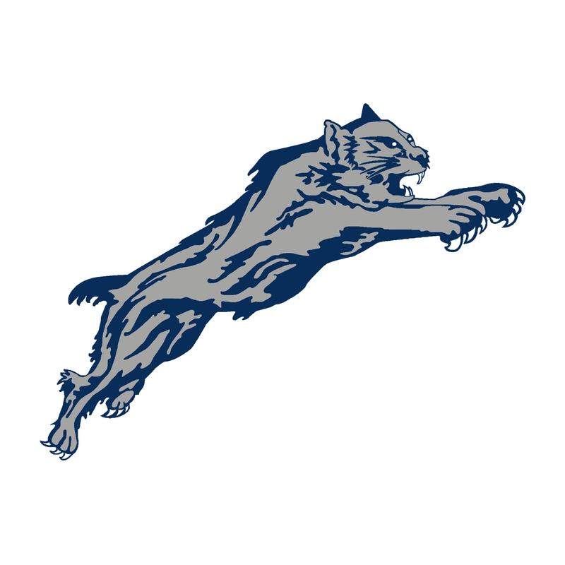 Sanger Football Schedule | Dallas News