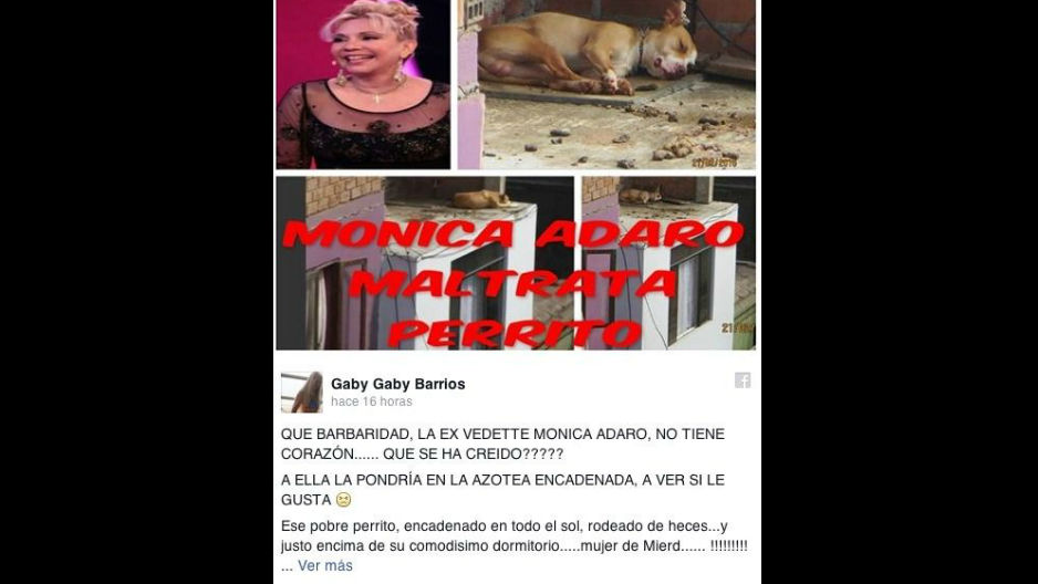 Mónica Adaro niega que haya maltratado a su perrito | ESPECTACULOS ...