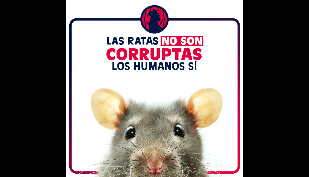 Cierre del Congreso: Animalistas piden no comparar a los políticos con ...