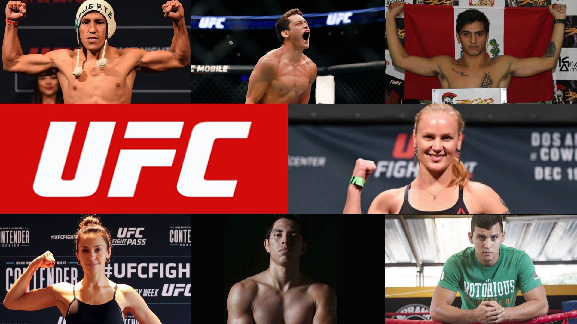 UFC: Siete peleadores peruanos fichados por la promotora de MMA más ...