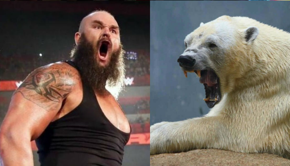WWE: Braun Strowman se sumerge en aguas heladas como un oso polar ...