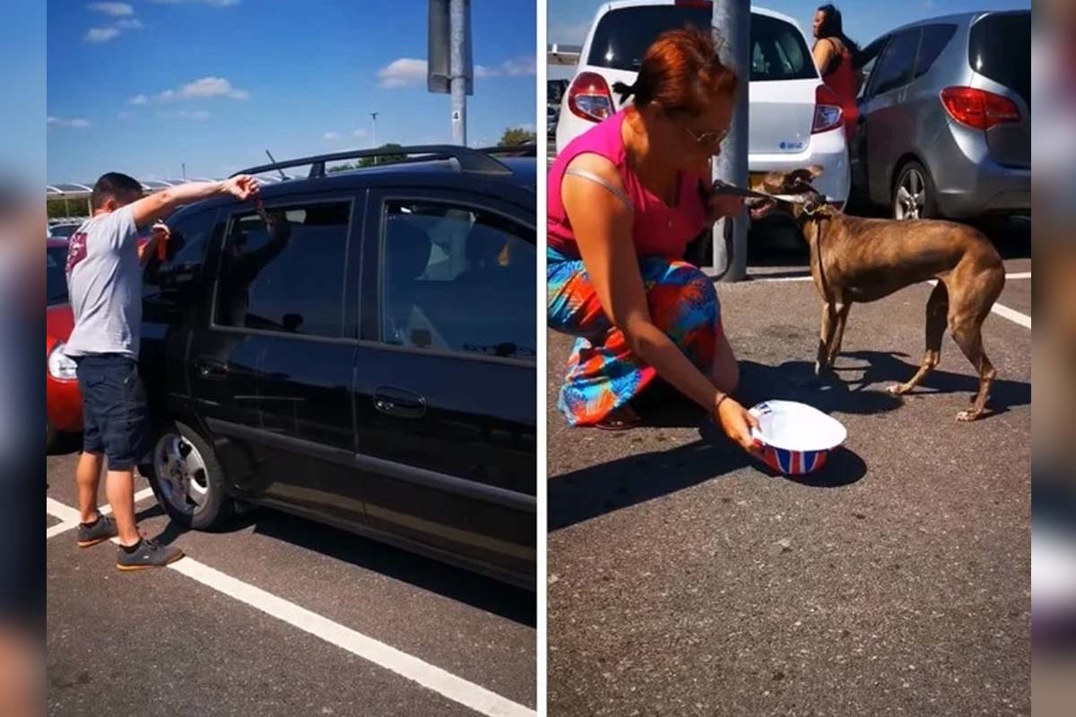 Facebook viral | Héroes sin capa salvan a perrito a punto de morir ...