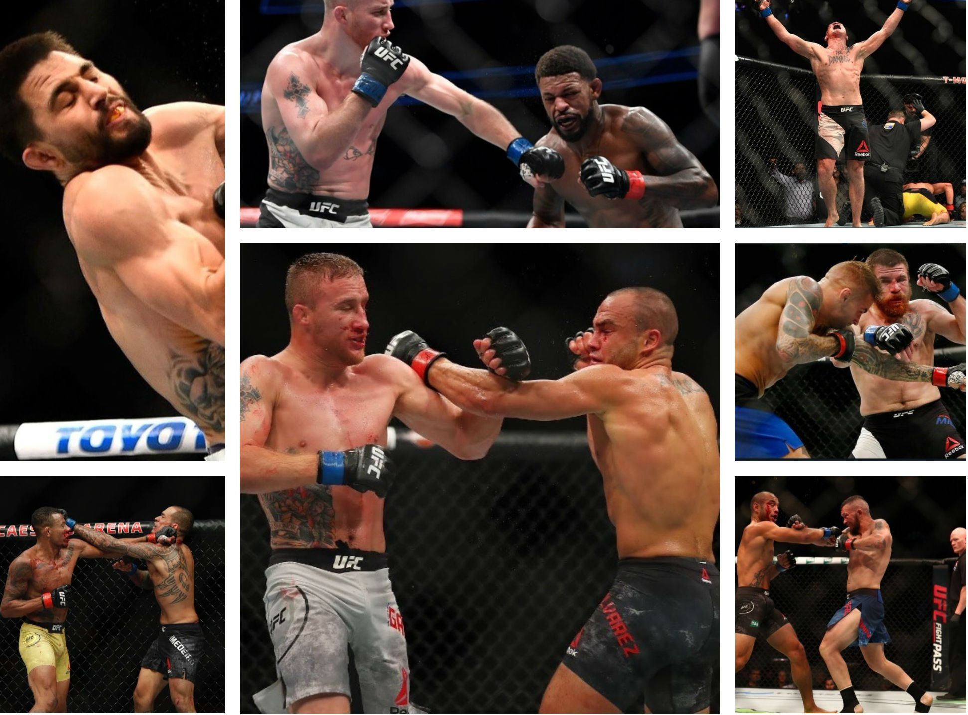 UFC: Las diez mejores peleas del 2017 [FOTOS Y VIDEOS] | DEPORTES ...