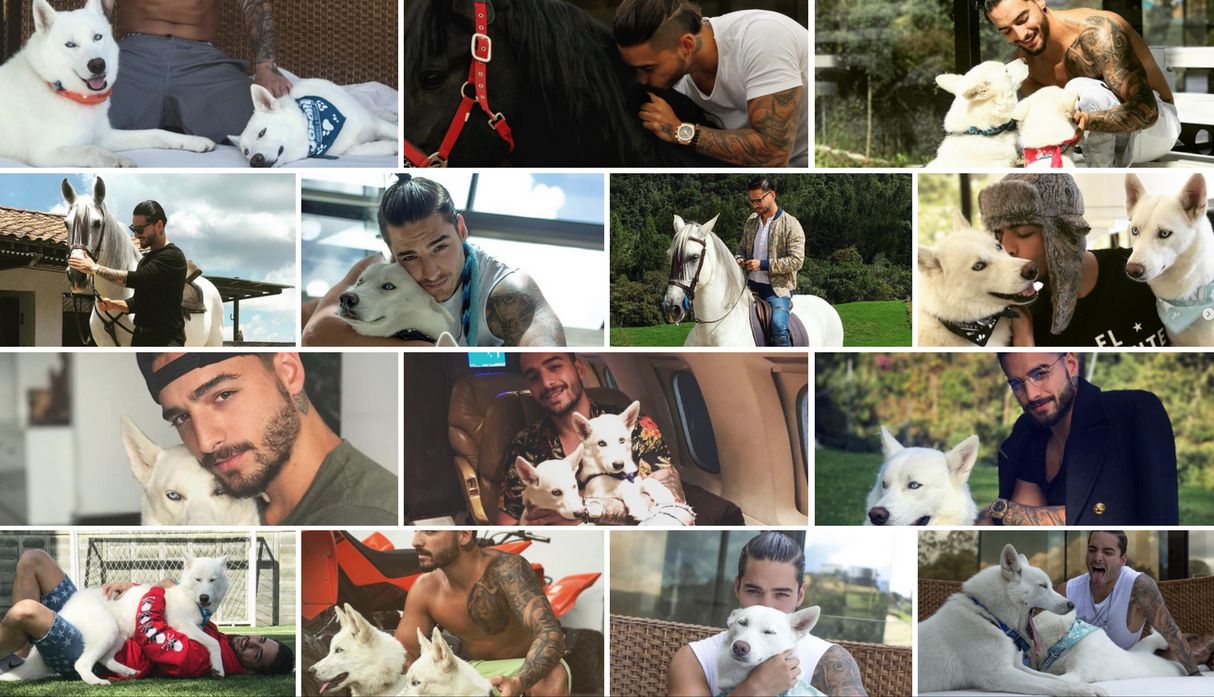 Maluma y sus tiernas postales con sus ‘Cuatro Babys’ que te robarán más ...