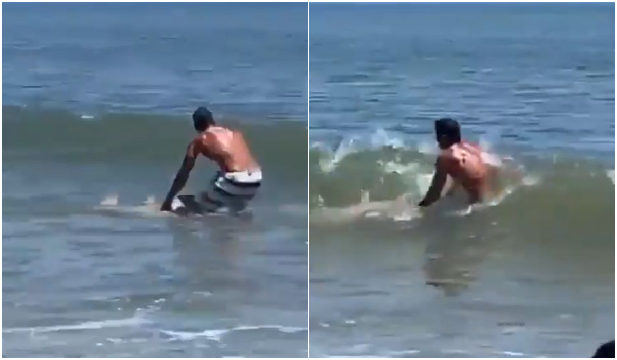 VIRAL de Facebook | Video de hombre pelea con tiburón con sus propias ...