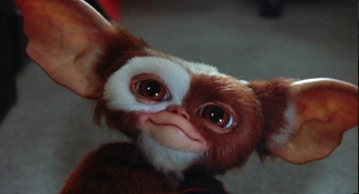Los Gremlins regresan con una serie para nuevo servicio de streaming de ...