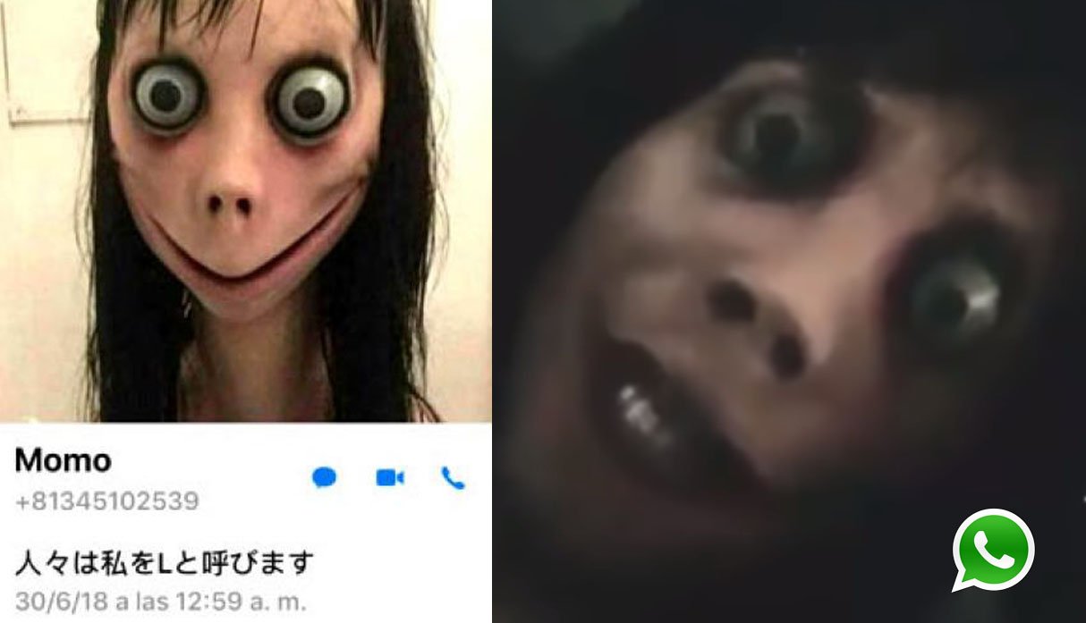 WhatsApp Viral: 'Momo' contestó su videollamada y descubrió lo que ...