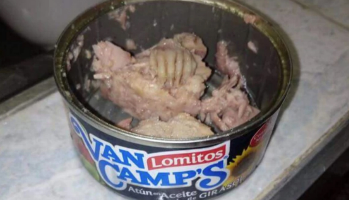 Twitter viral: joven halla garra de un animal en una lata de atún ...