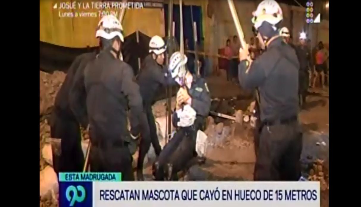 La Victoria: Mascota cayó a hueco de 15 metros y lograron rescatarlo ...