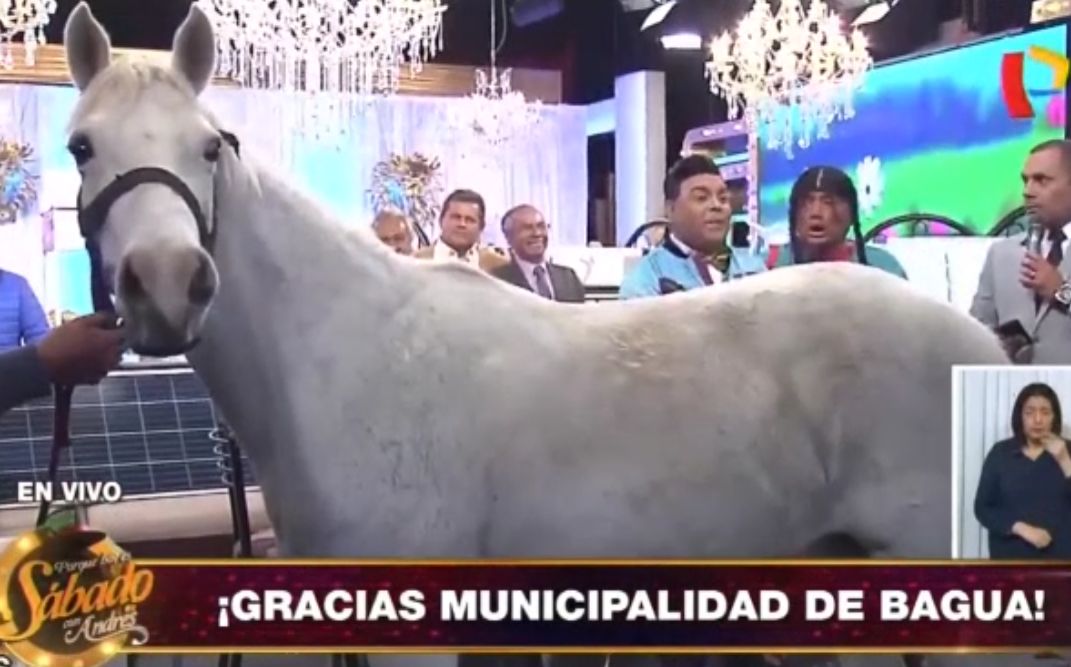 Andrés Hurtado 'Chibolín' recibió un caballo como regalo por el ...