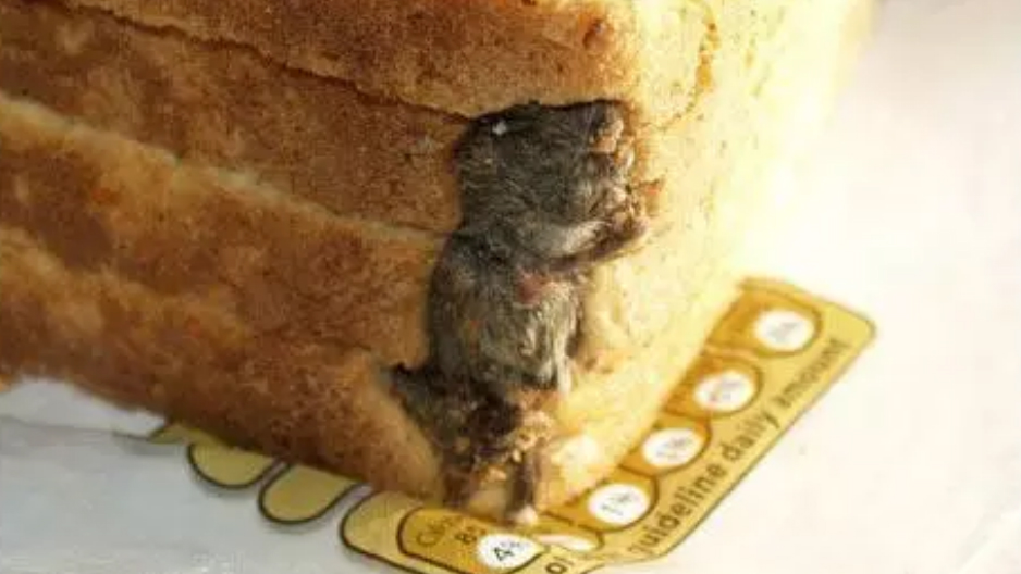 10 personas que encontraron cosas asquerosas en sus comidas y siguen ...