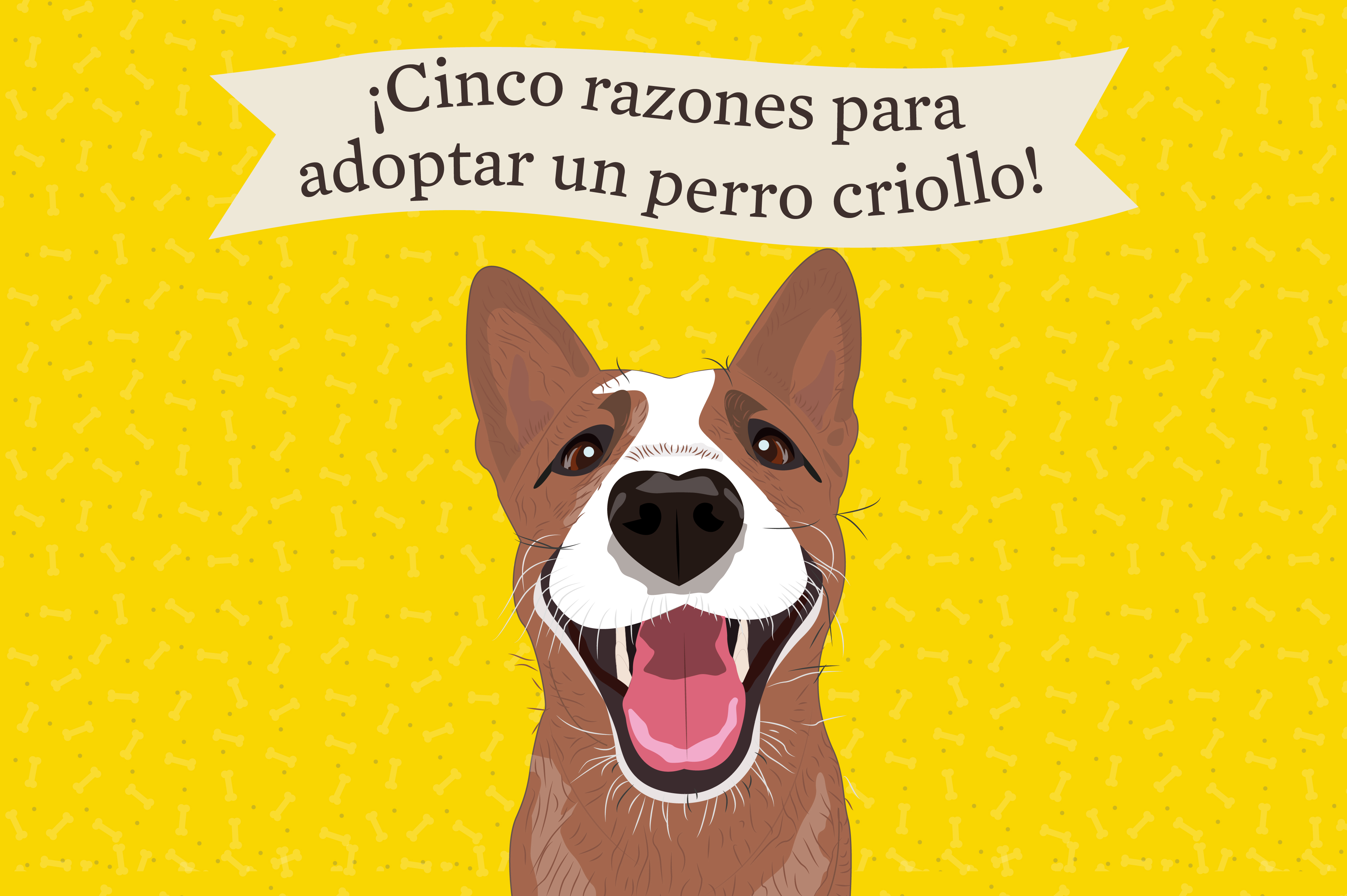 Tienes Que Pagar Para Adoptar Un Perro