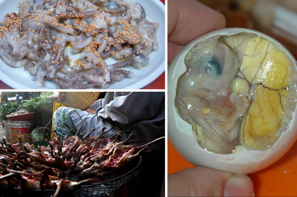 Comida De Aspecto Desagradable